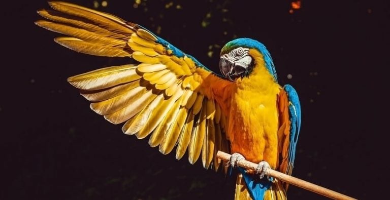 Understanding Module B: Critical Reception, Context, and Significance