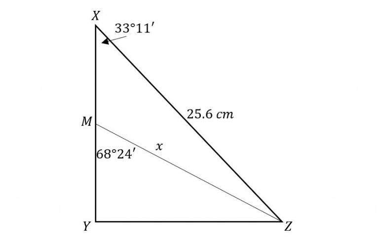 Part 7: Year 9 Trigonometry & Its Practical Applications | Free Worksheet