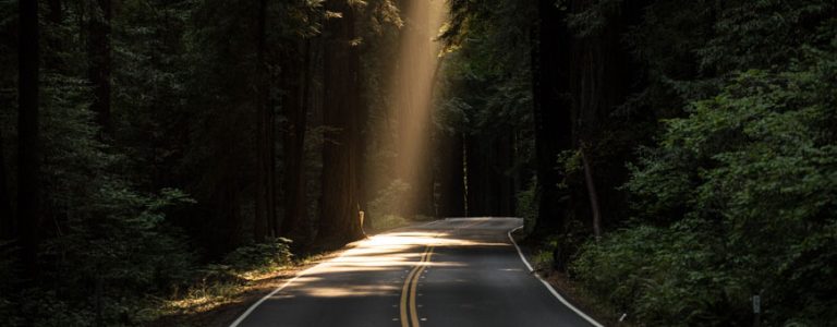 Literary Techniques: Satire | How to Analyse Satire