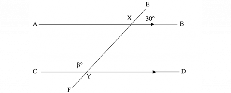 Part 4: Angle Relationships | The Beginner's Guide to Year 7 Maths