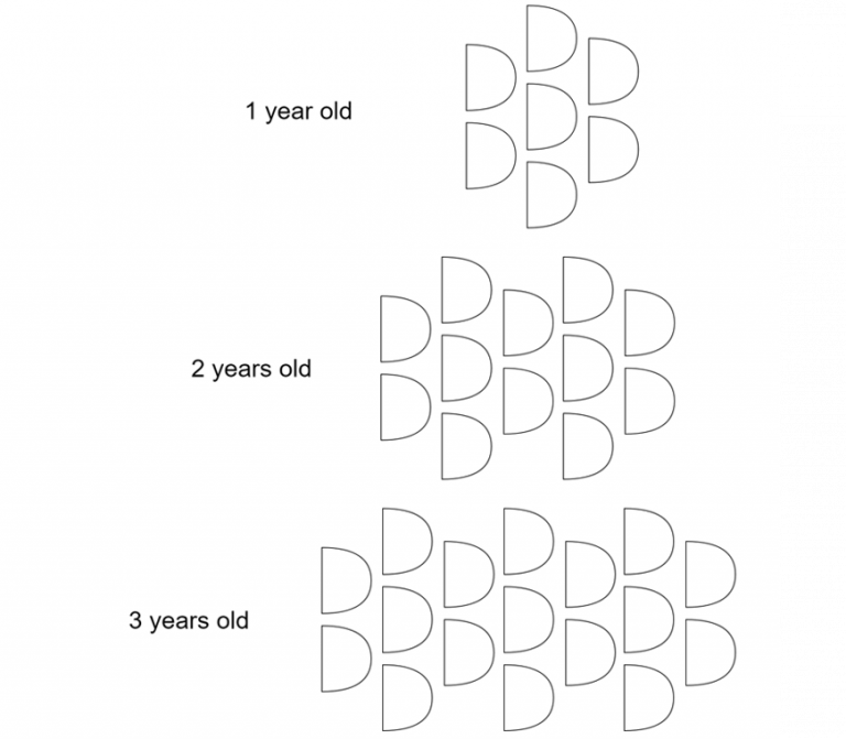 Part 2: Introduction to Linear Relationships | Year 8 Maths Guide