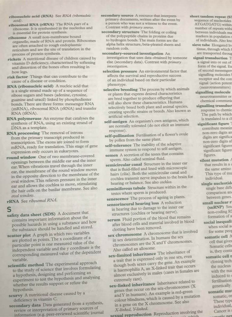 How I Overcame Anxiety and Self-Doubt to Ace the HSC | Study Hacks