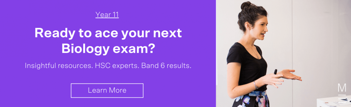 Year 11 Biology Practice Paper For Yearly Biology Exam