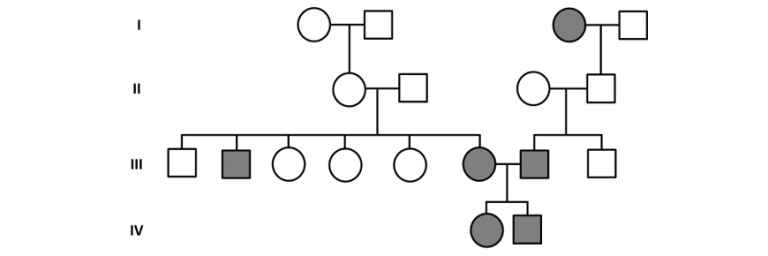 Module 5: Heredity | Beginner's Guide to Year 12 Biology