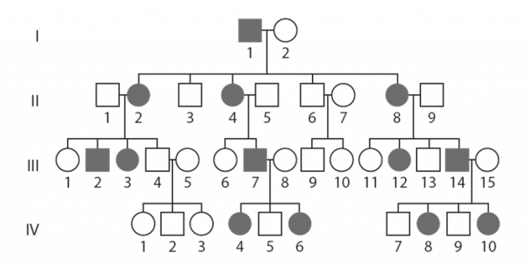 Module 5: Heredity | Beginner's Guide to Year 12 Biology