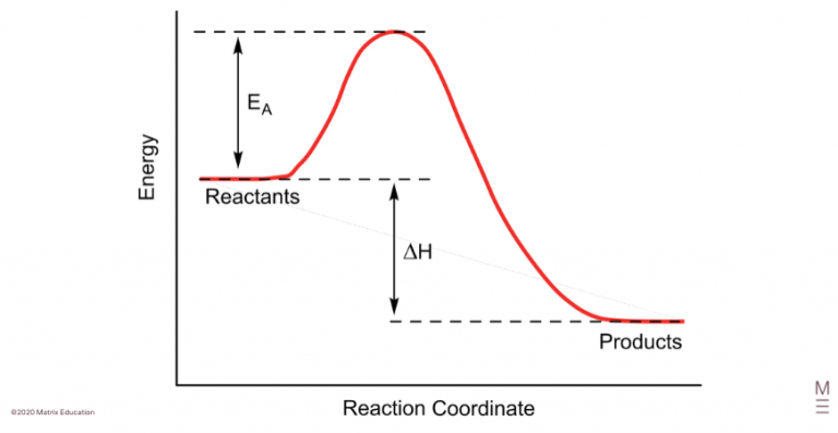 Module 3: Reactive Chemistry | Beginner's Guide to Year 11 Chemistry