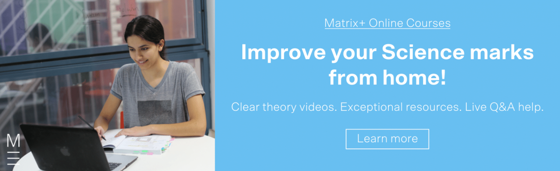 5 Hot Tips to Help Your Child Study Science at Home | Junior