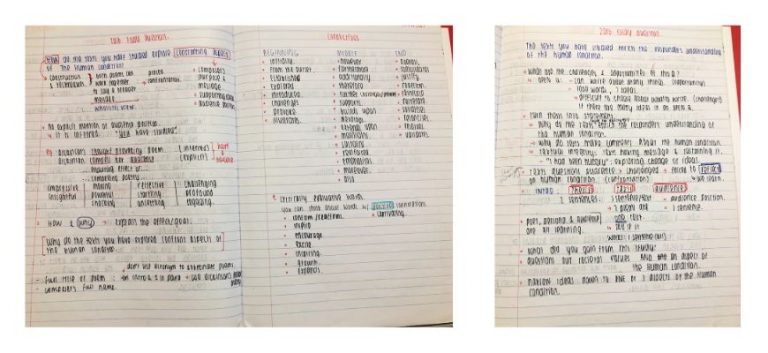 The Ultimate Guide to Writing Perfect Study Notes | Free Kit