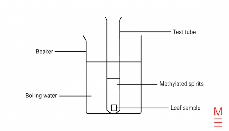 How to Write a Scientific Report | Step-by-Step Guide