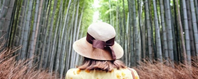 Literary Techniques: In Medias Res