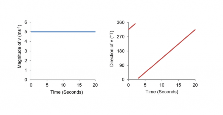 Module 1: Kinematics | Beginner's Guide Year 11 Physics