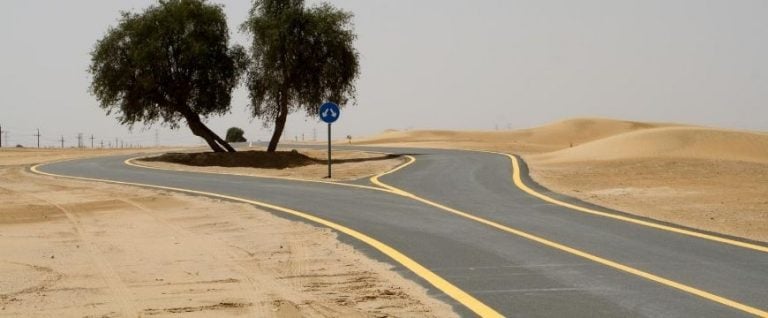 How to Respond to NESA Key Words to Ace Your HSC!