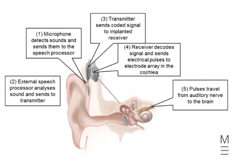 Module 8: Non-Infectious Disease and Disorders | HSC Biology Guides