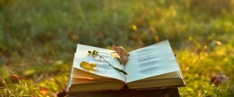 The Ultimate Contemporary Asian Australian Poets Cheatsheet | Mod A
