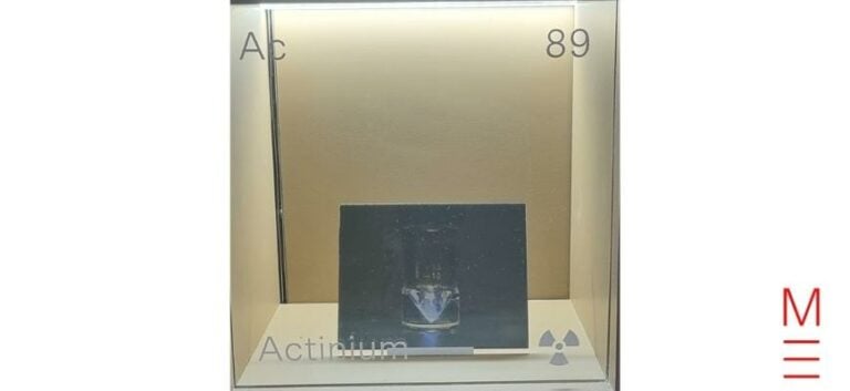 Actinoid Series | Beginner's Guide to the Periodic Table