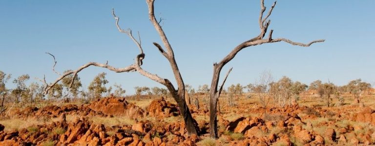 The Ultimate Inside My Mother Cheatsheet | FREE Annotated Essay