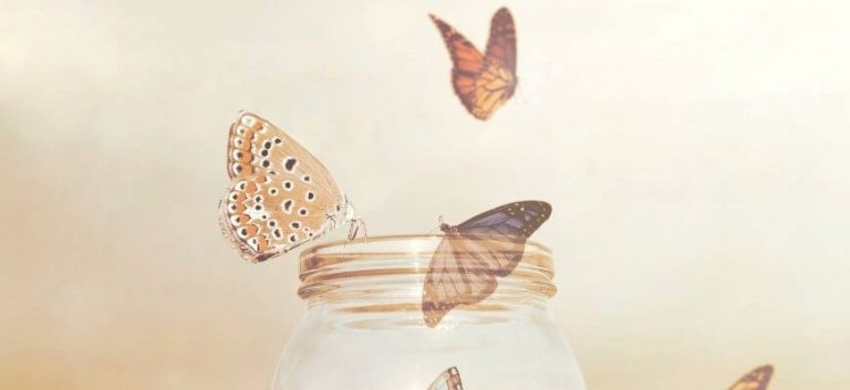 The Ultimate 'Looking for Alibrandi' Cheatsheet | Year 9 & 10 English