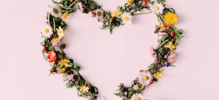 The Ultimate 'Looking for Alibrandi' Cheatsheet | Year 9 & 10 English