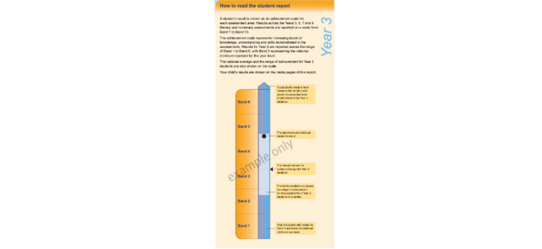 What Does My Child’s NAPLAN Report Mean?