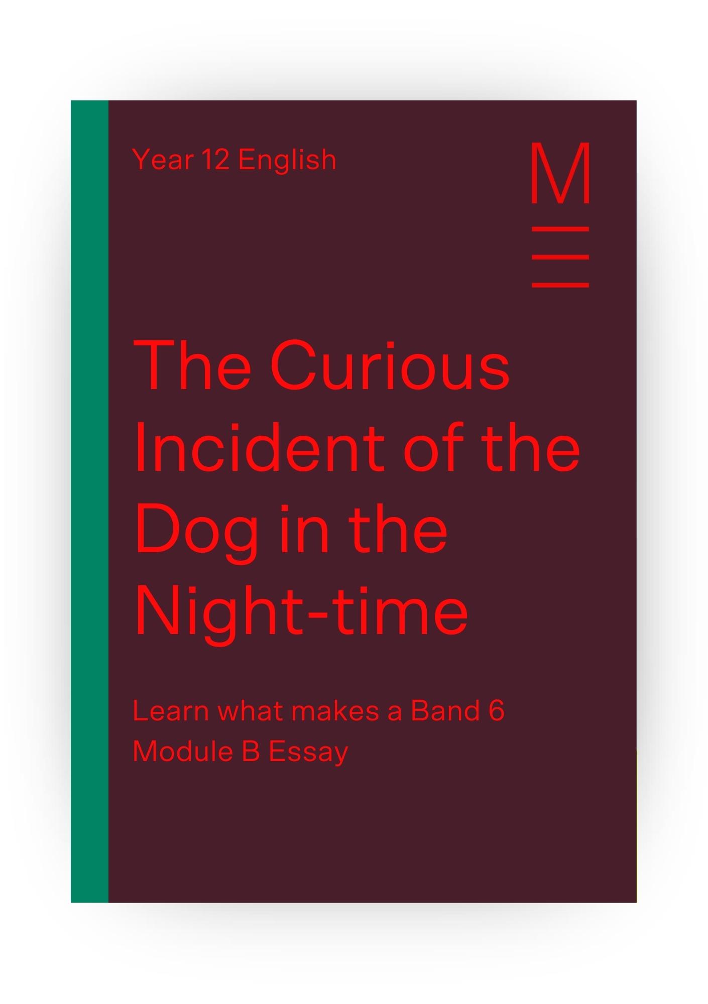 Free The Curious Incident of the Dog in the Night-time Essay ...