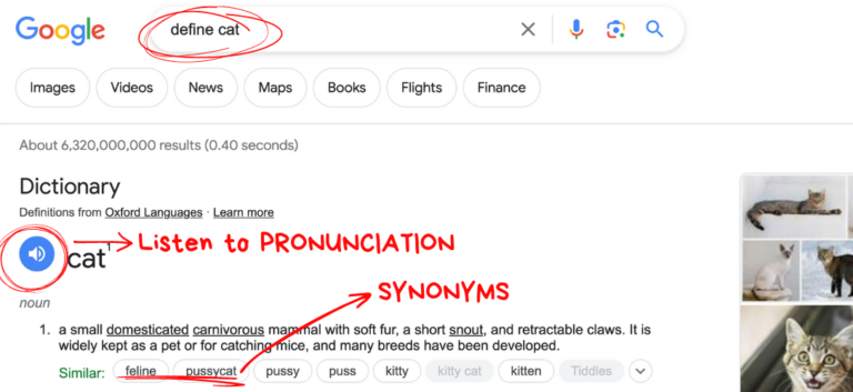 Year 3 Spelling Words: Download Free Word Lists