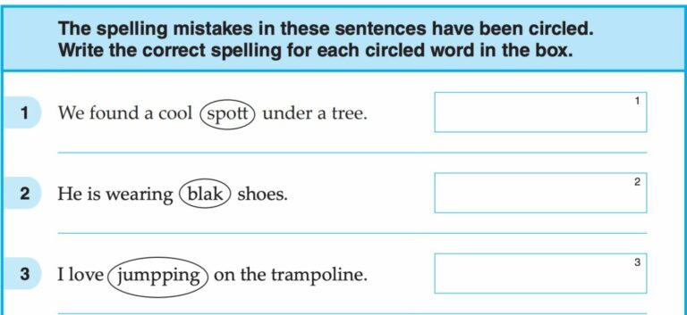 NAPLAN Year 3: What's Inside the Test?