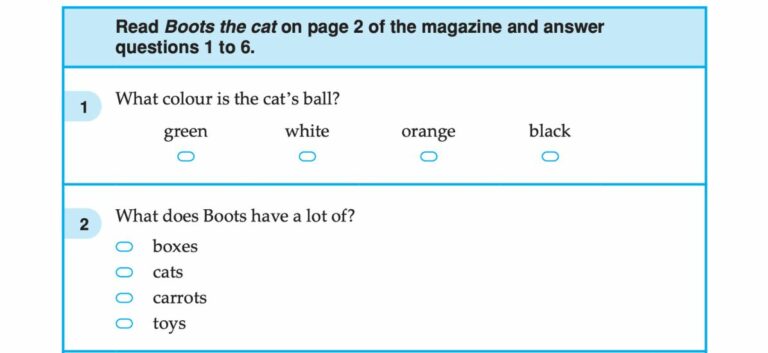 NAPLAN Year 3: What's Inside the Test?
