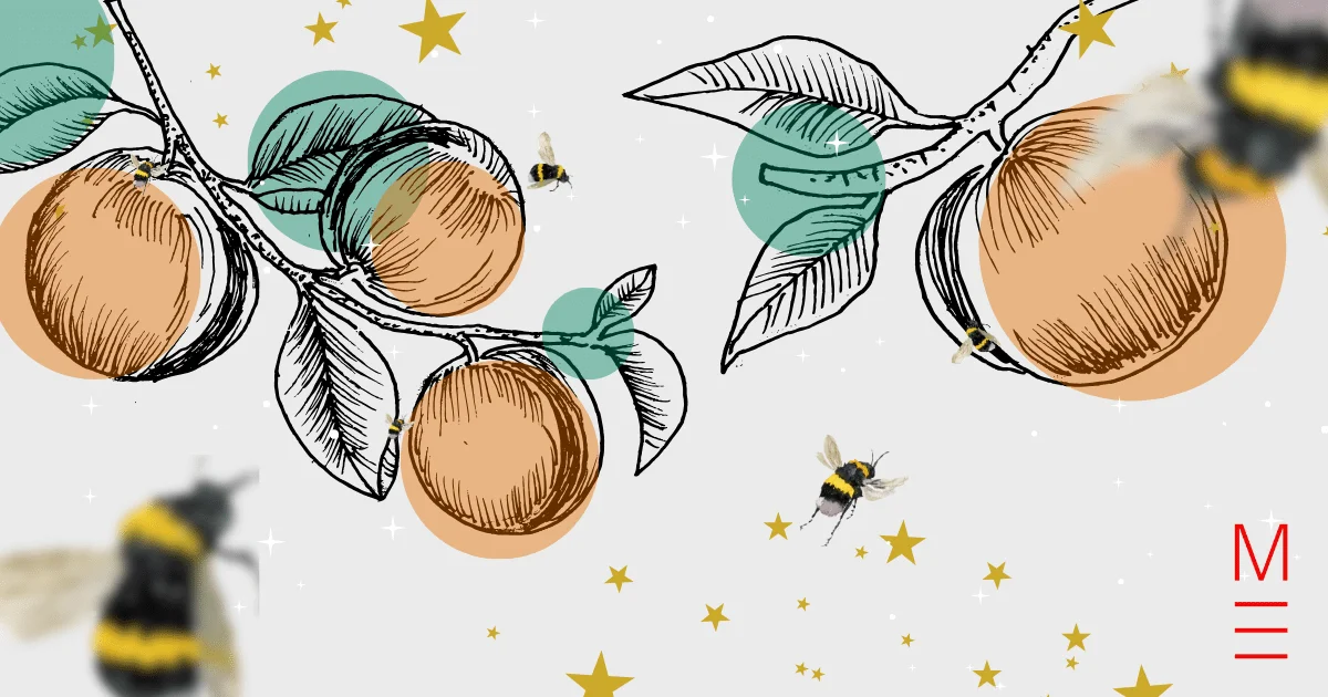 2023 HSC English Advanced Exam Paper 1 Sample Answers