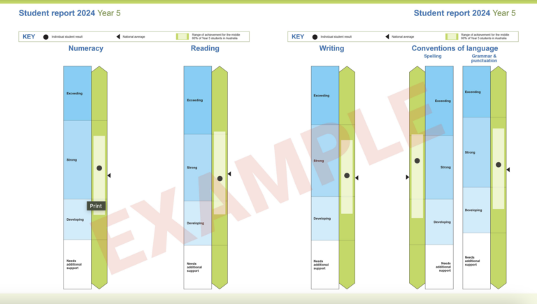 Year 5 NAPLAN: How is NAPLAN Scored?