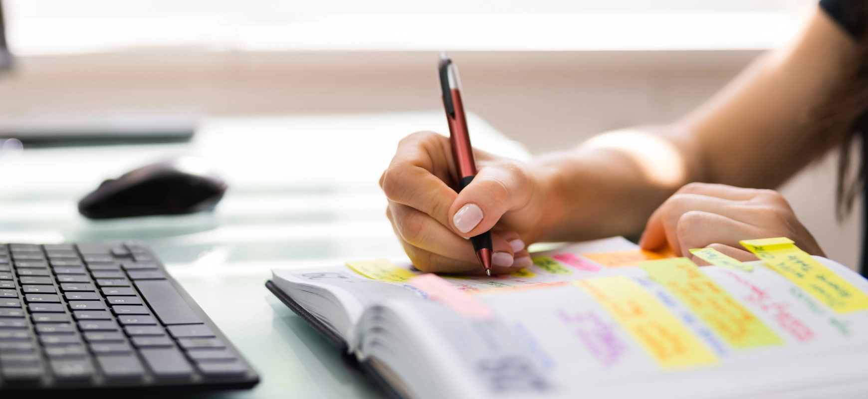 Navigating University Early Entry Schemes in Australia